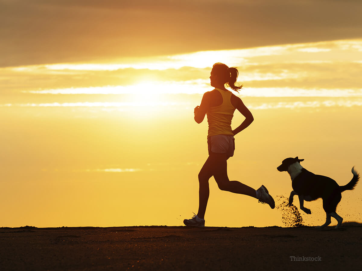Top 4 Dog Exercises To Keep Your Dog Healthy Pets Nurturing Top 4 Dog Exercises To Keep Your Dog Healthy Pets Nurturing