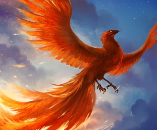 Real Phoenix Bird: A Mysterious and Mythological Bird