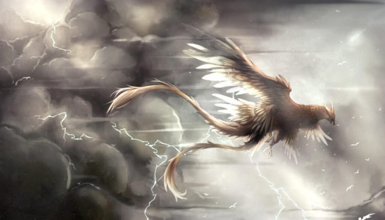 Real Phoenix Bird: A Mysterious and Mythological Bird