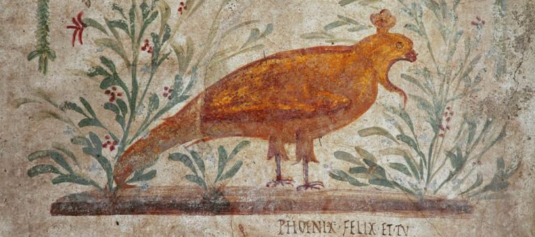 Real Phoenix Bird: A Mysterious and Mythological Bird