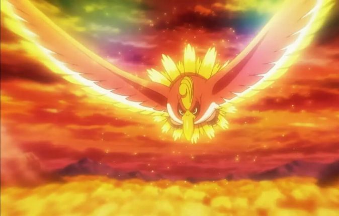 Real Phoenix Bird: A Mysterious and Mythological Bird