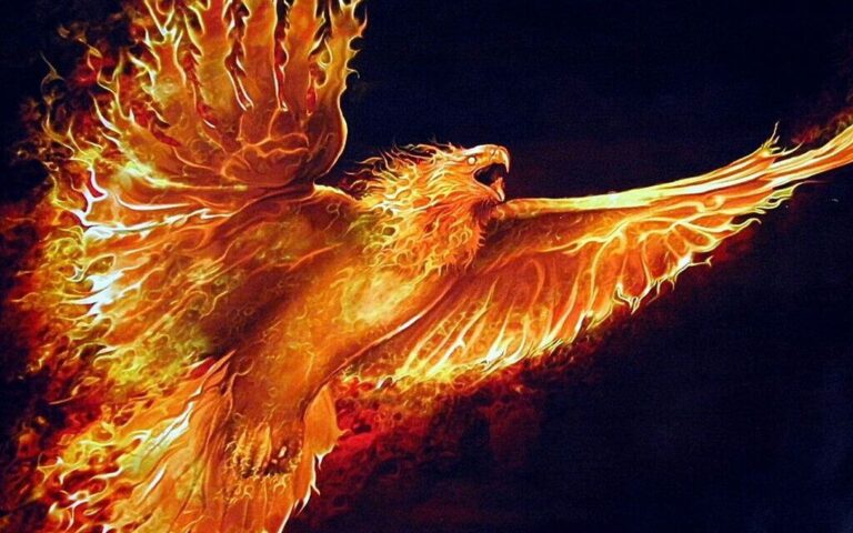 Real Phoenix Bird: A Mysterious and Mythological Bird