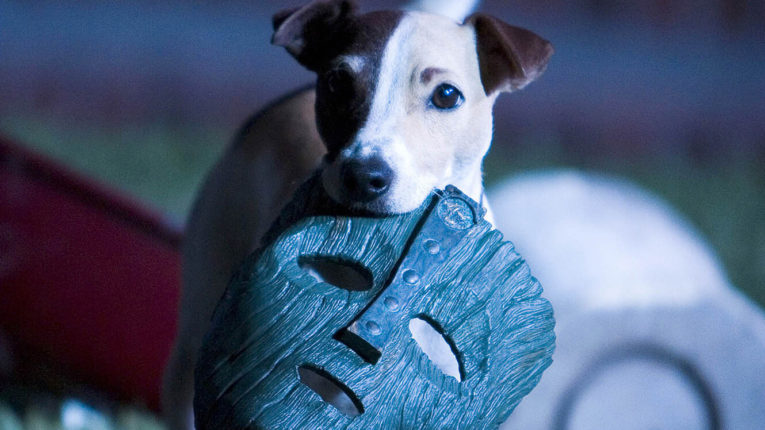 8 Best Dog Movies That You Need To Watch | Pets Nurturing