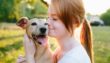 Know About Sharing Your Everyday Life with Pet | Pets Nurturing