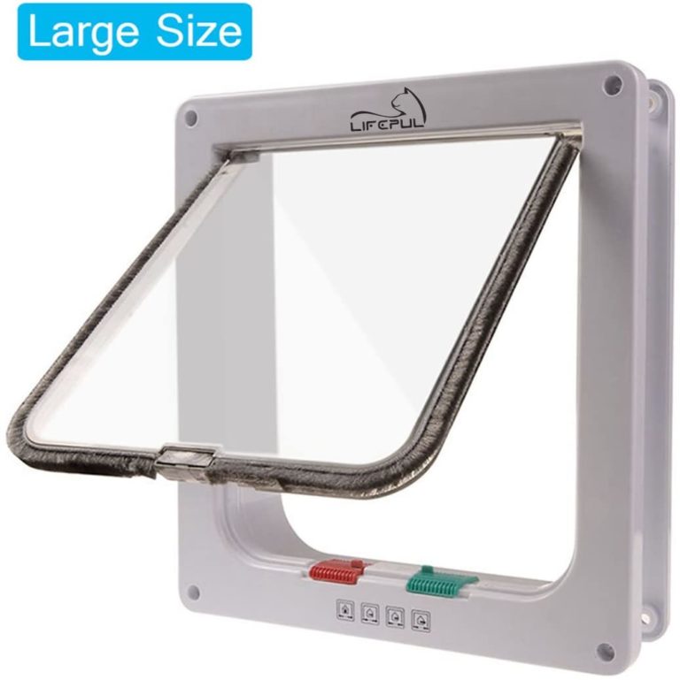 Cat Door For Window: Choose Right Window for Your Cat