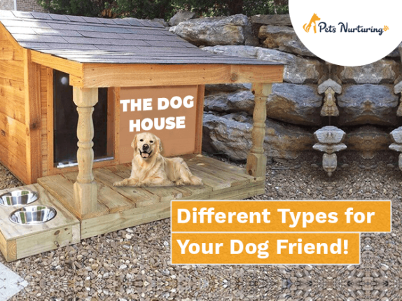 The Dog House: Different Types for Your Dog Friend! – Pets Nurturing