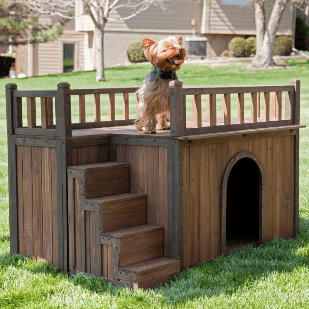 The Dog House: Different Types for Your Dog Friend! – Pets Nurturing