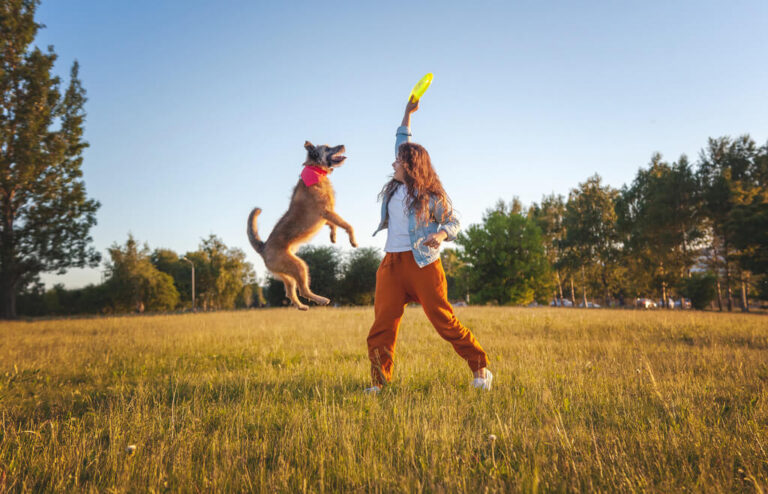 7 Outdoor Activities You Can Do With Your Dog