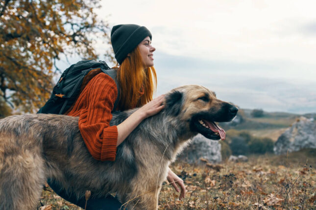 7 Outdoor Activities You Can Do With Your Dog