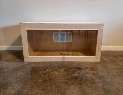 Bearded Dragon Habitat: How to Create the Best Tank Setup?