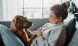 Tips on How to Certify an Emotional Support Dog