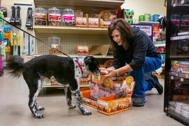 Look for These 7 Qualities in Your Local Pet Store – Pets Nurturing