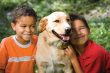 Pet Parents Guide: Raising Happy and Healthy Pets