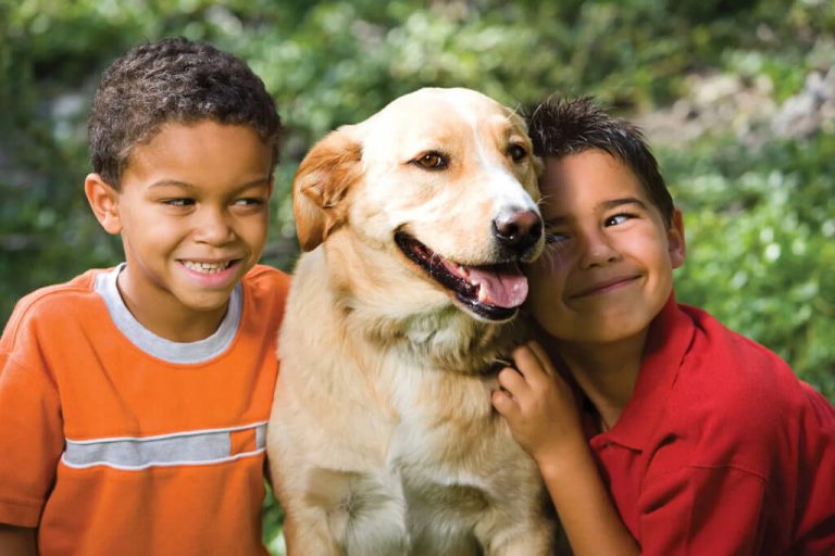 Pet Parents Guide: Raising Happy and Healthy Pets