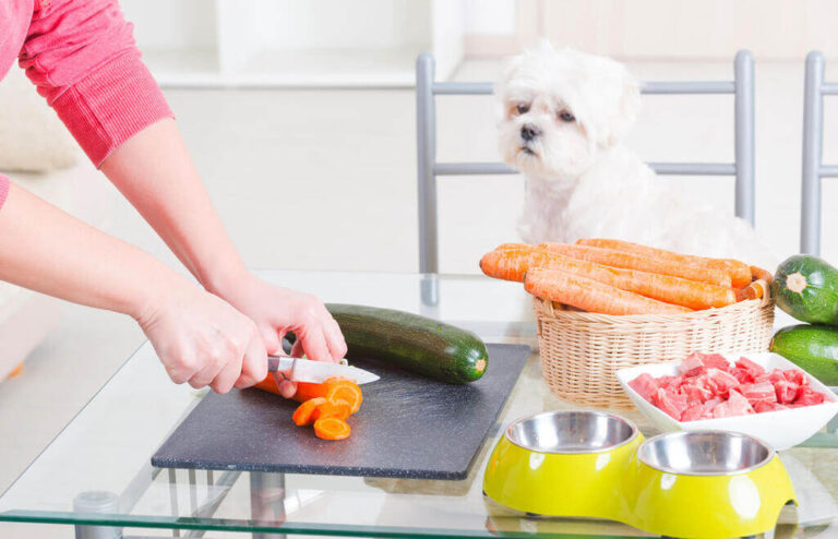 Cooked dog food diets include preparing homemade meals using ...